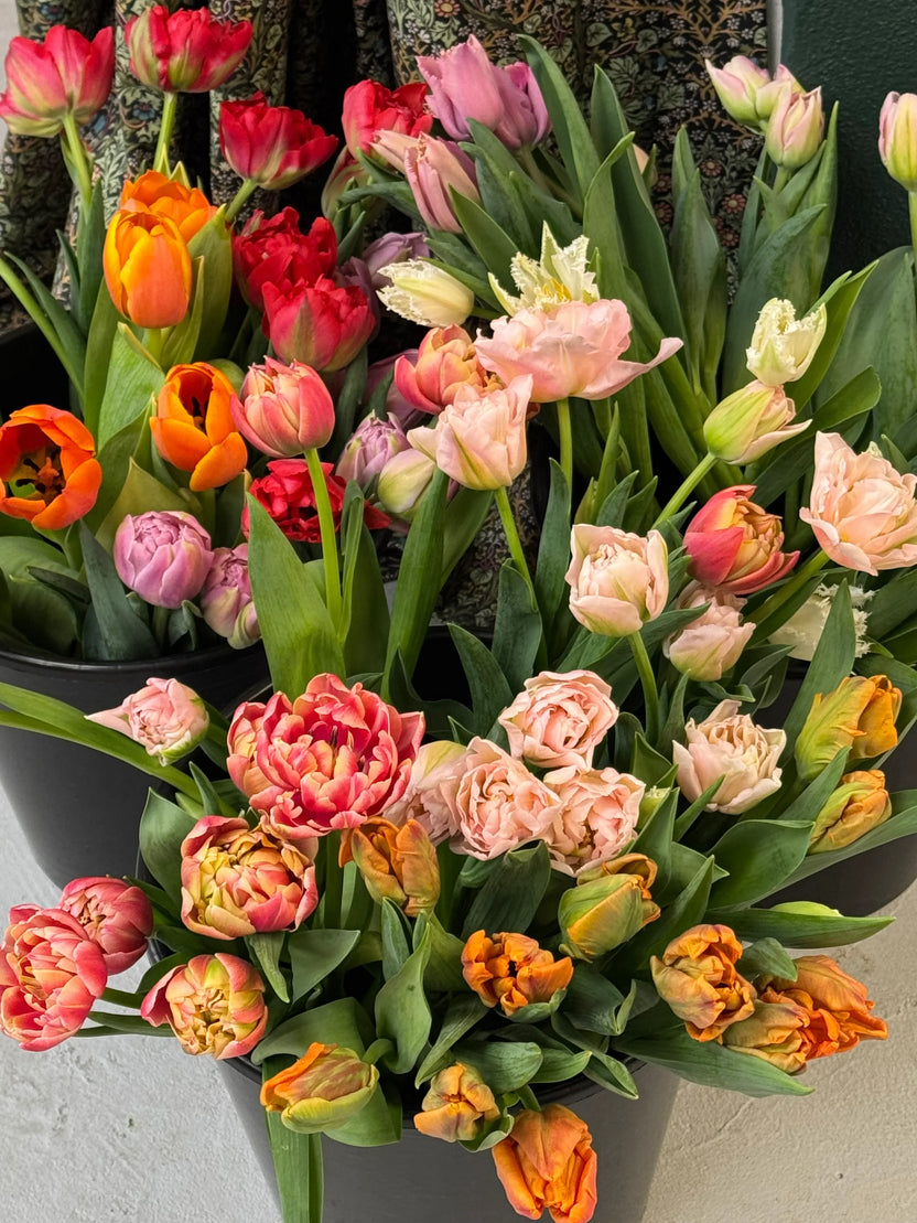 Blooms Collective | Florist & Washington DC Flower Shop | Local Floral